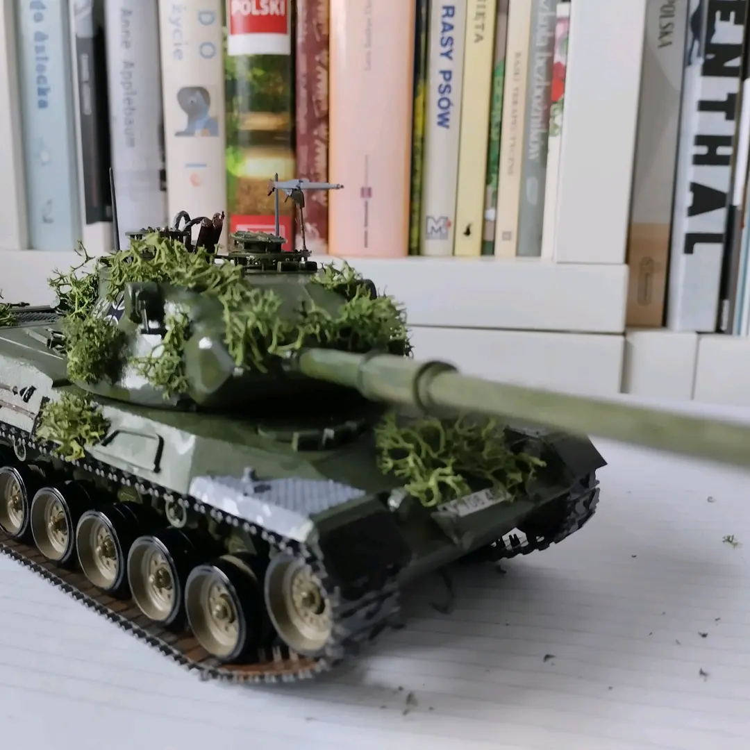 Modelowy's TikTok Analytics - FreshTok