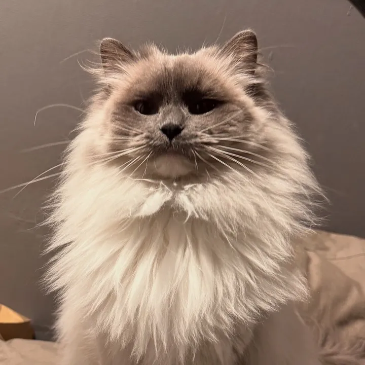 nym (@sanymaaa) - Urlebird